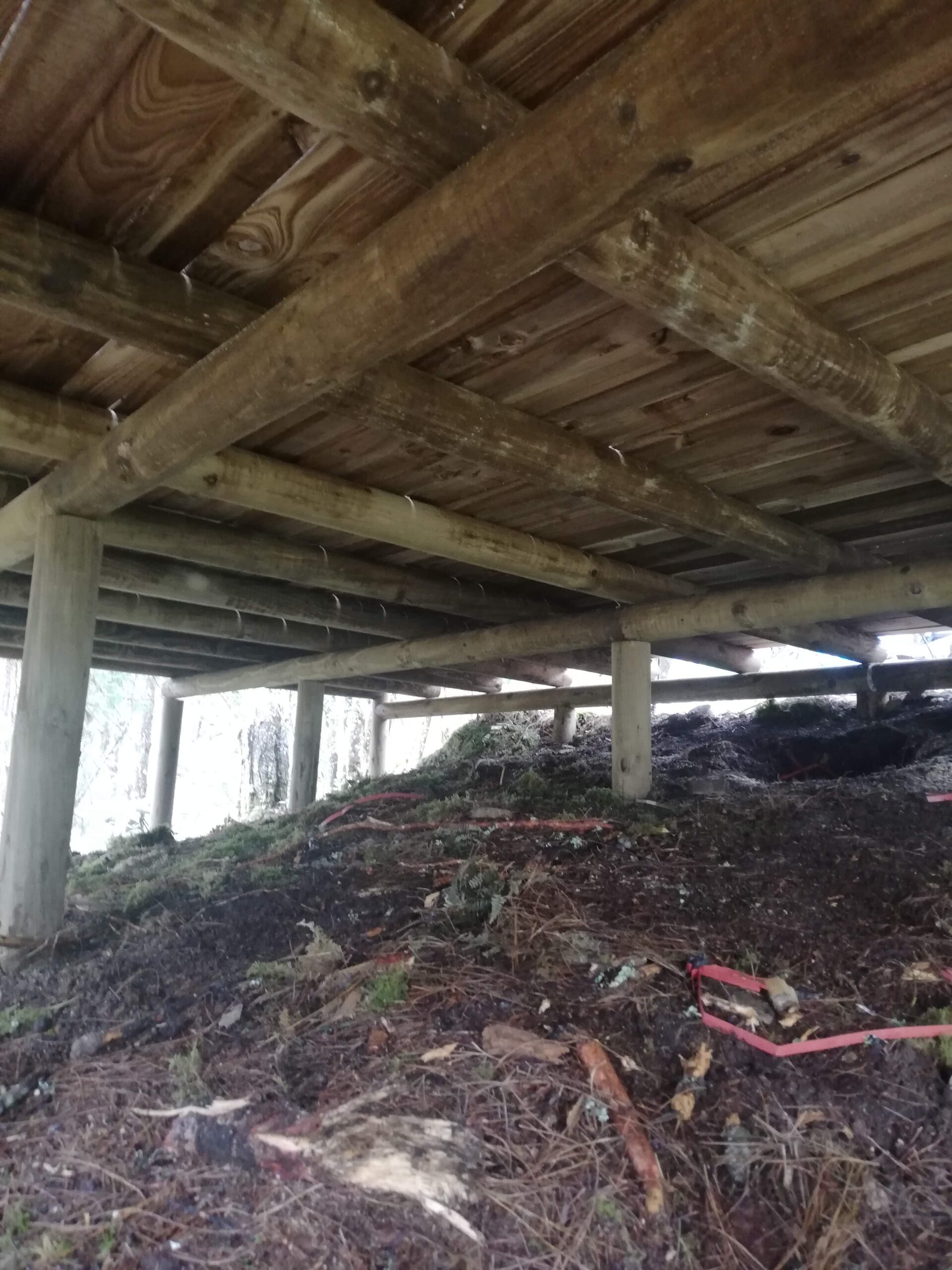 Proyectos de madera inmunizada
