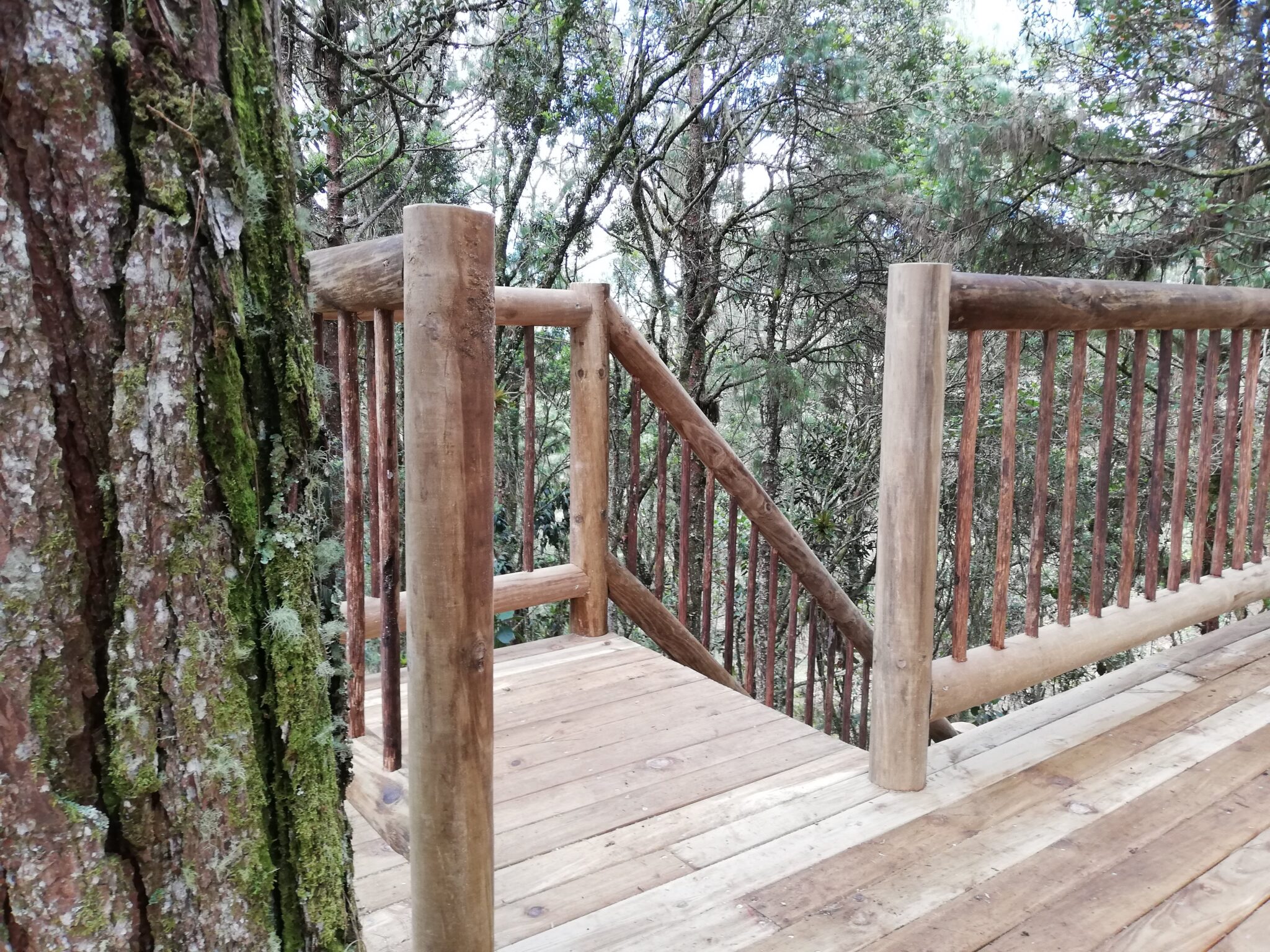 Proyectos de madera inmunizada